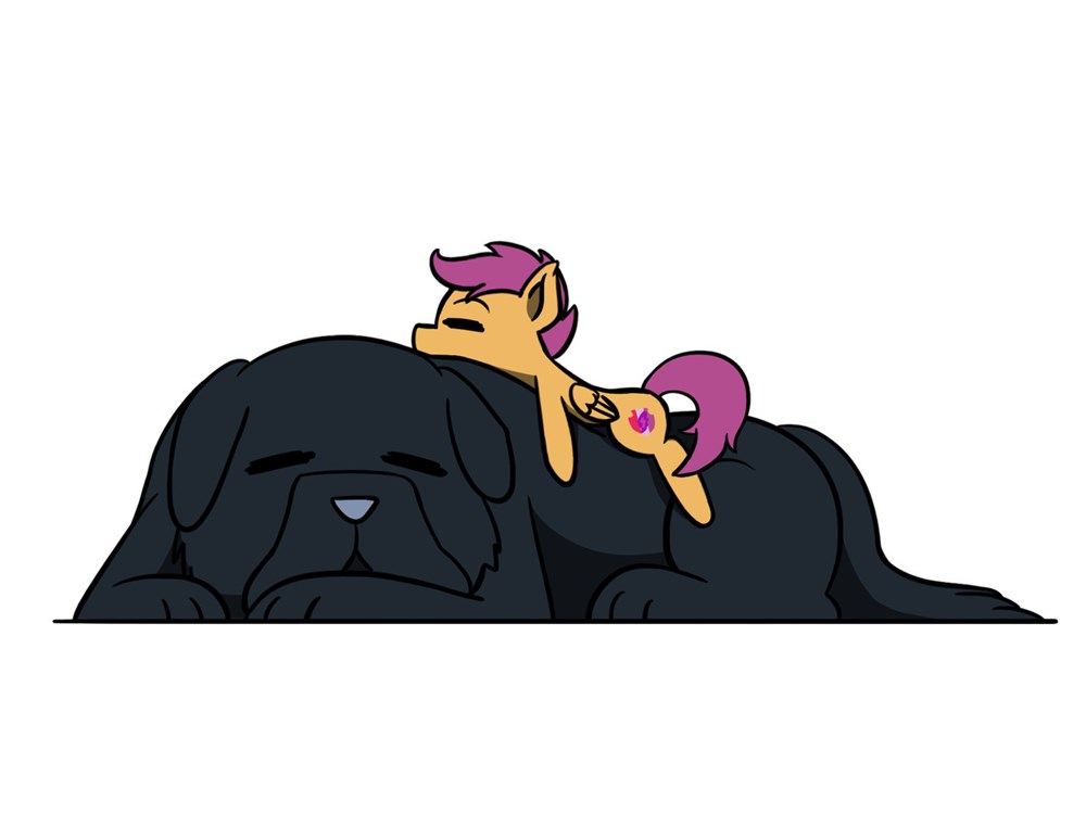 He Protecc - My Little Brony - my little pony, friendship is magic ...