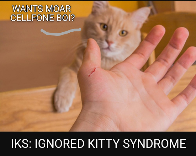 Dangers of Smartphone Use - Lolcats - lol | cat memes | funny cats ...