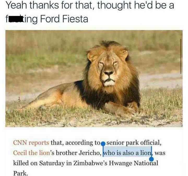 Memebase - zimbabwe - All Your Memes In Our Base - Funny Memes ...