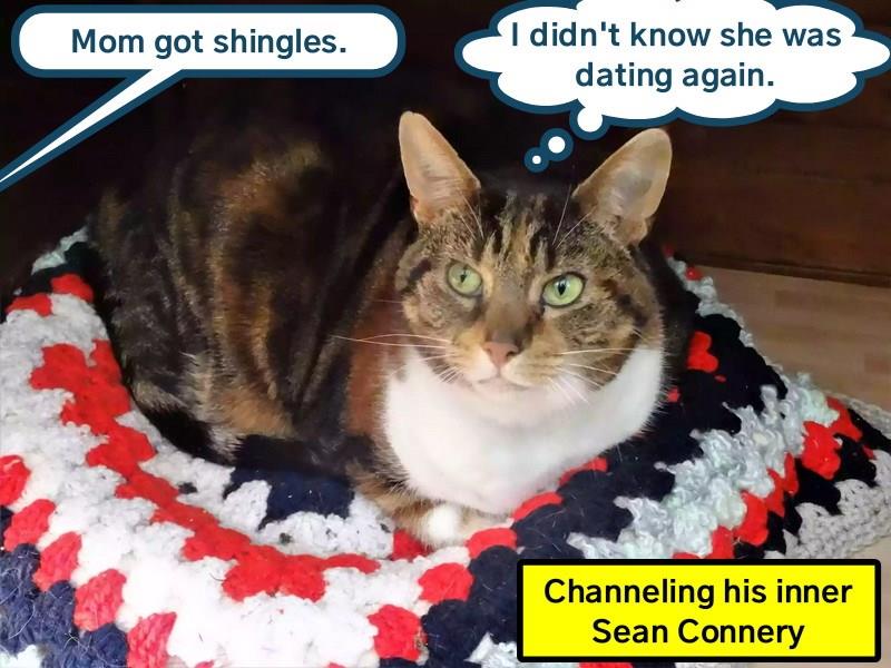 Channeling his inner Sean Connery - Lolcats - lol | cat memes | funny ...