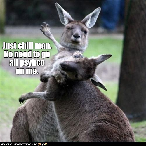 Chill man! - Animal Comedy - Animal Comedy, funny animals, animal gifs