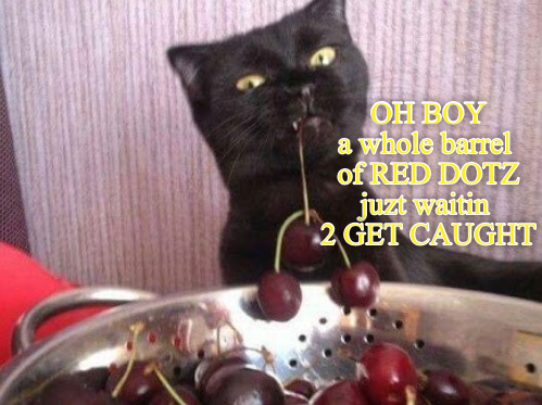 Cats: Finding The FUN In Food - Lolcats - lol | cat memes | funny cats ...