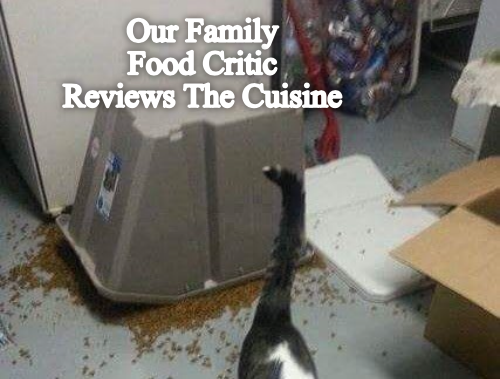 Family Food Critic - Lolcats - lol | cat memes | funny cats | funny cat ...
