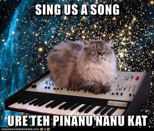 TEH PINANU NANU KAT - Lolcats - lol | cat memes | funny cats | funny ...