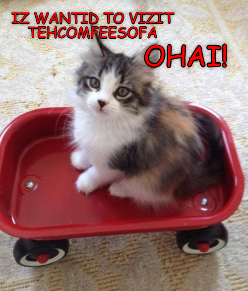 OHAI! - Lolcats - lol | cat memes | funny cats | funny cat pictures ...