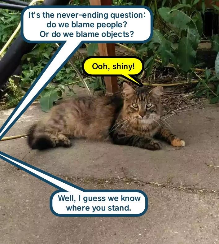 Ooh, shiny! - Lolcats - lol | cat memes | funny cats | funny cat ...