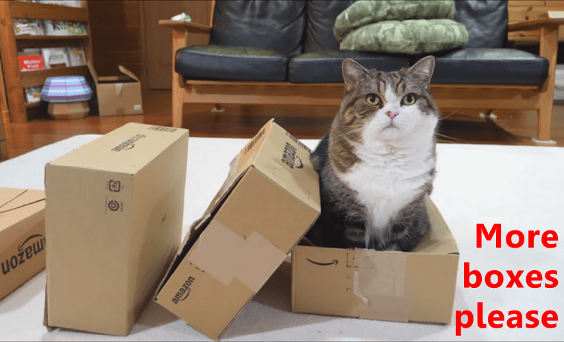 More boxes please - Lolcats - lol | cat memes | funny cats | funny cat ...