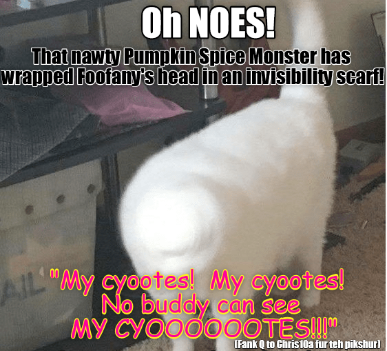 Horrible Horror Storee - 2018 - Lolcats - lol | cat memes | funny cats ...