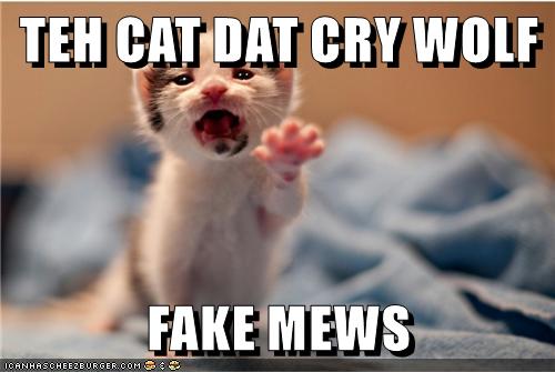 FAKE MEWS - Lolcats - lol | cat memes | funny cats | funny cat pictures ...