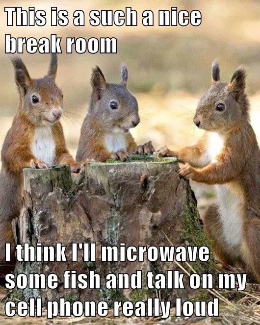 This is a such a nice break room - Animal Comedy - Animal Comedy, funny ...