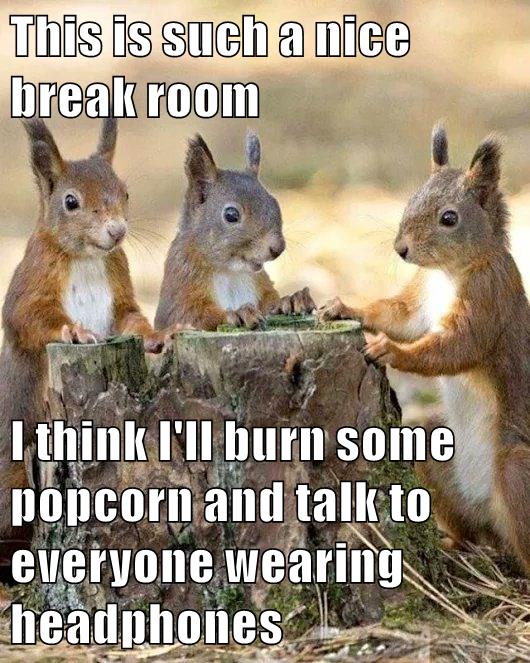 This is such a nice break room 2 - Animal Comedy - Animal Comedy, funny ...