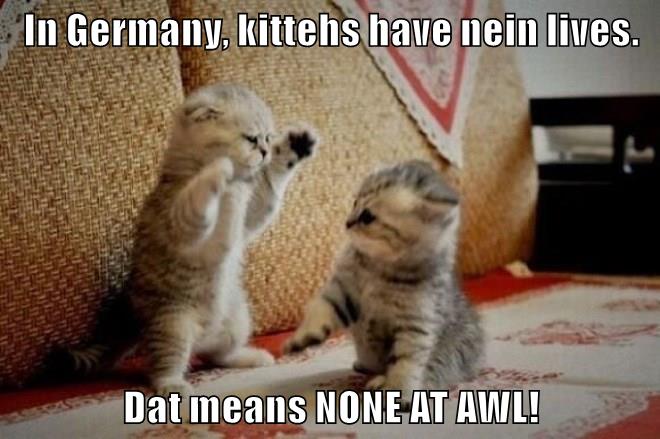 Nein - Lolcats - lol | cat memes | funny cats | funny cat pictures with ...