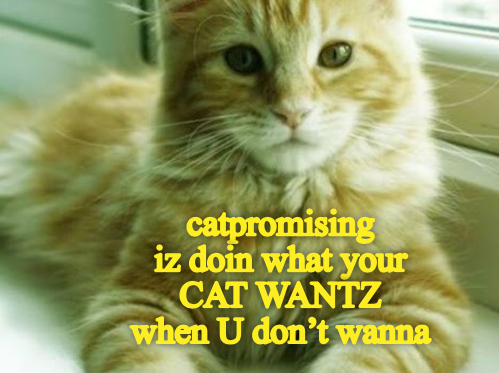 the art of catpromising - Lolcats - lol | cat memes | funny cats ...