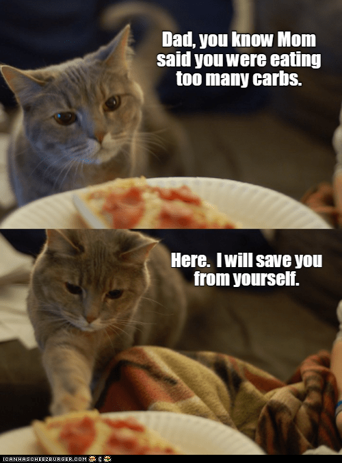 I'll Help! - Lolcats - lol | cat memes | funny cats | funny cat ...