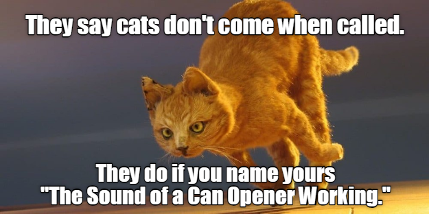 It's easy to pronounce, too. - Lolcats - lol | cat memes | funny cats ...
