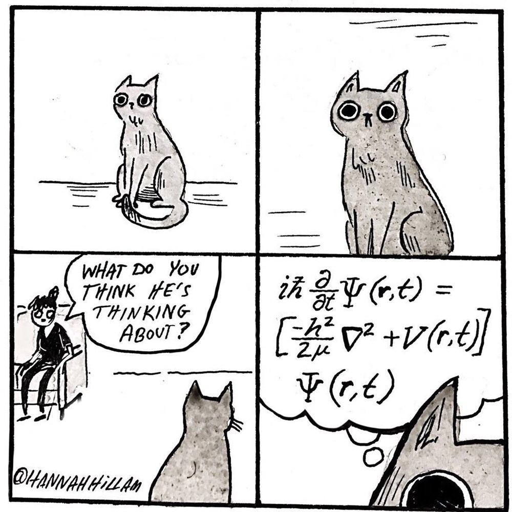 Memebase - math - Page 6 - All Your Memes In Our Base - Funny Memes ...