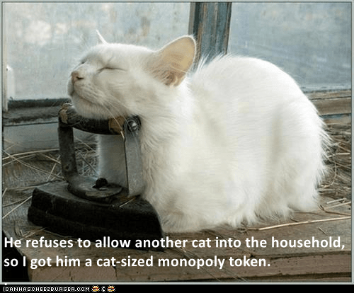 A cat-sized monopoly token - Lolcats - lol | cat memes | funny cats ...