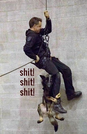 Oh no! - I Has A Hotdog - Dog Pictures - Funny pictures of dogs - Dog ...