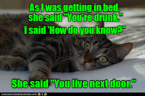 Oops - Lolcats - lol | cat memes | funny cats | funny cat pictures with ...