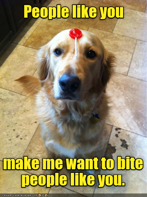 It's not me, it's you. - I Has A Hotdog - Dog Pictures - Funny pictures ...