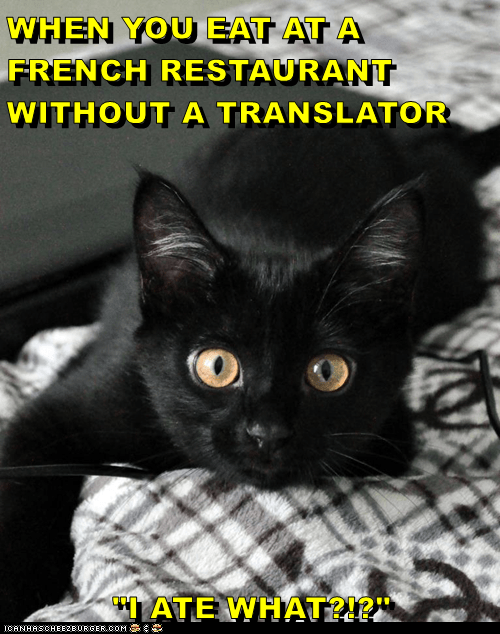 FRENCH RESTAURANT - Lolcats - lol | cat memes | funny cats | funny cat ...