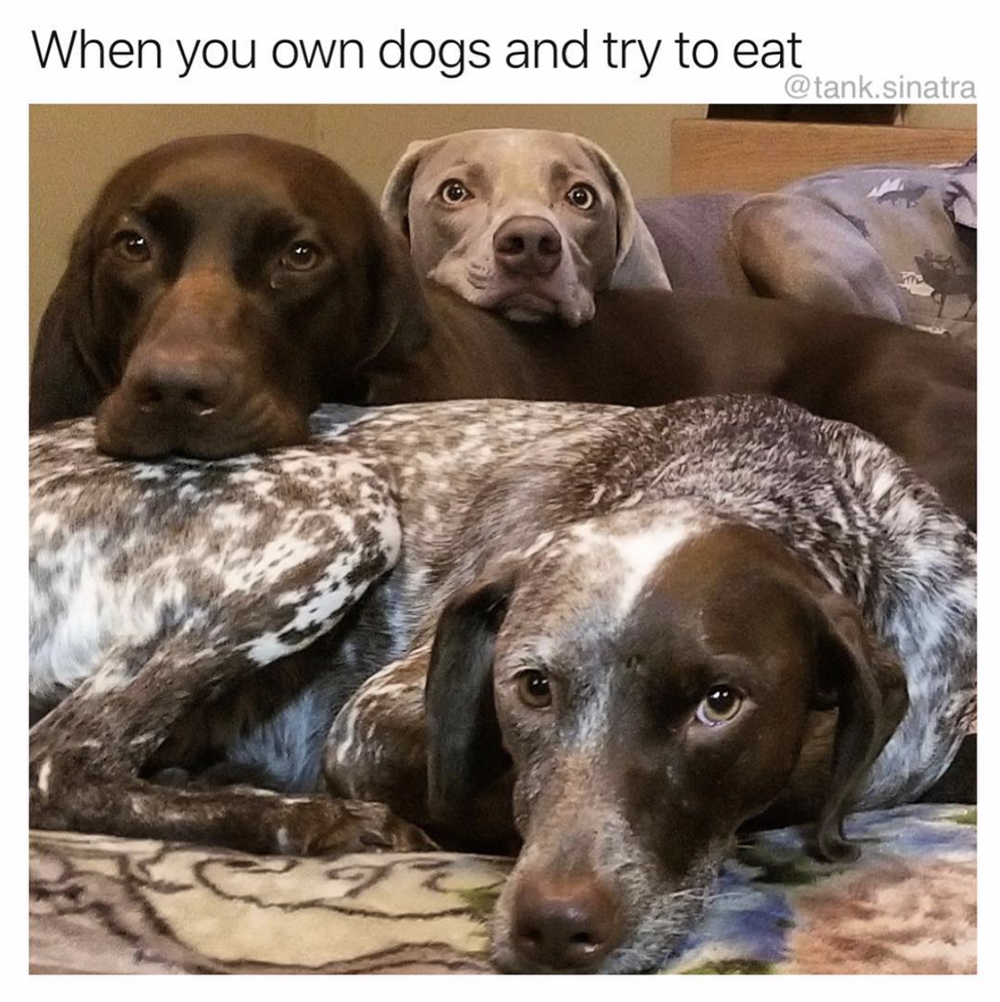 Memebase - eating - Page 4 - All Your Memes In Our Base - Funny Memes ...