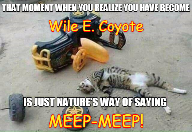 A.C.M.E. can't save you now... - Lolcats - lol | cat memes | funny cats ...