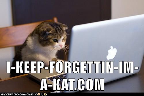 I-KEEP-FORGETTIN - Lolcats - lol | cat memes | funny cats | funny cat ...