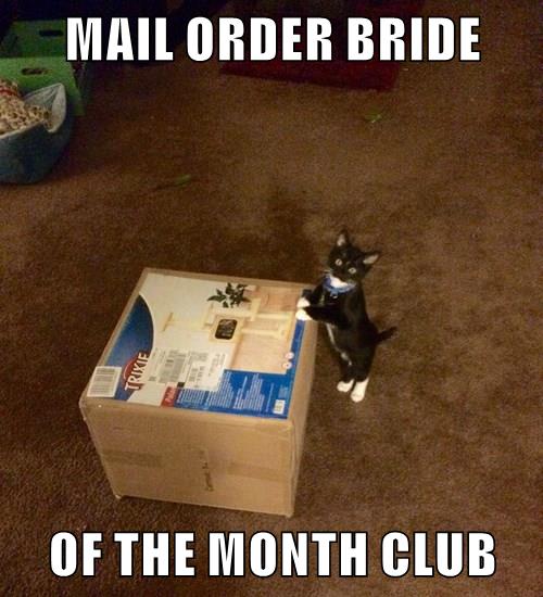 MAIL ORDER BRIDE OF THE MONTH CLUB - Lolcats - lol | cat memes | funny ...