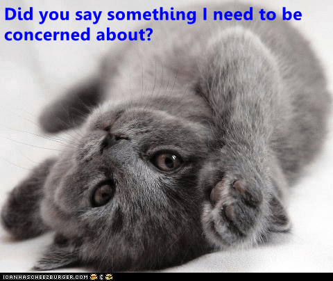 Did you say something I need to be concerned about? - Lolcats - lol ...
