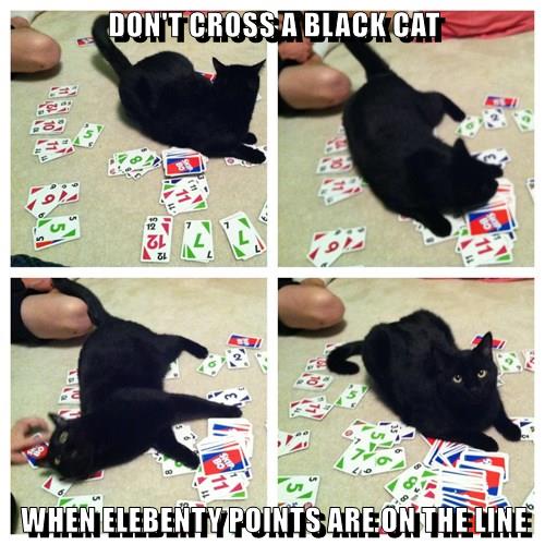 DON'T CROSS A BLACK CAT 2 - Lolcats - lol | cat memes | funny cats ...