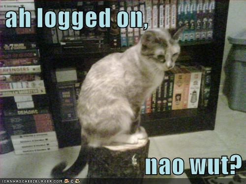 Ah logged on, nao wut? - Lolcats - lol | cat memes | funny cats | funny ...