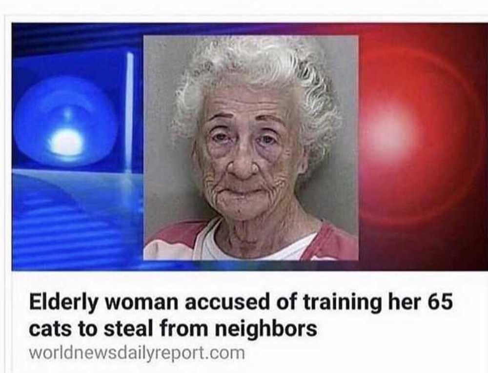 Memebase - neighbors - Page 3 - All Your Memes In Our Base - Funny ...