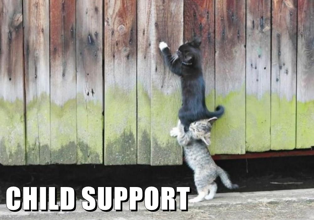 CHILD SUPPORT - Lolcats - lol | cat memes | funny cats | funny cat ...