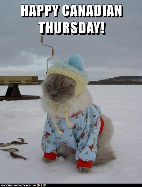 HAPPY CANADIAN THURSDAY! - Lolcats - lol | cat memes | funny cats ...