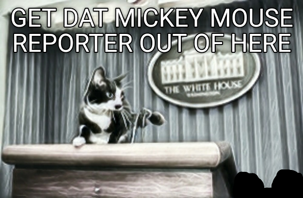 T-R-U, U GET THE F OUT OF HERE - Lolcats - lol | cat memes | funny cats ...