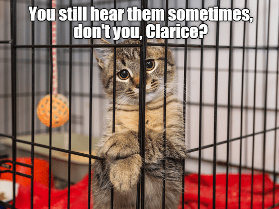 Silence of the Hamsters... - Lolcats - lol | cat memes | funny cats ...