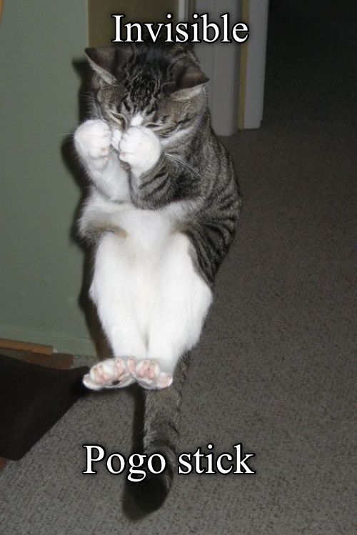 Invisible pogo stick - Lolcats - lol | cat memes | funny cats | funny ...