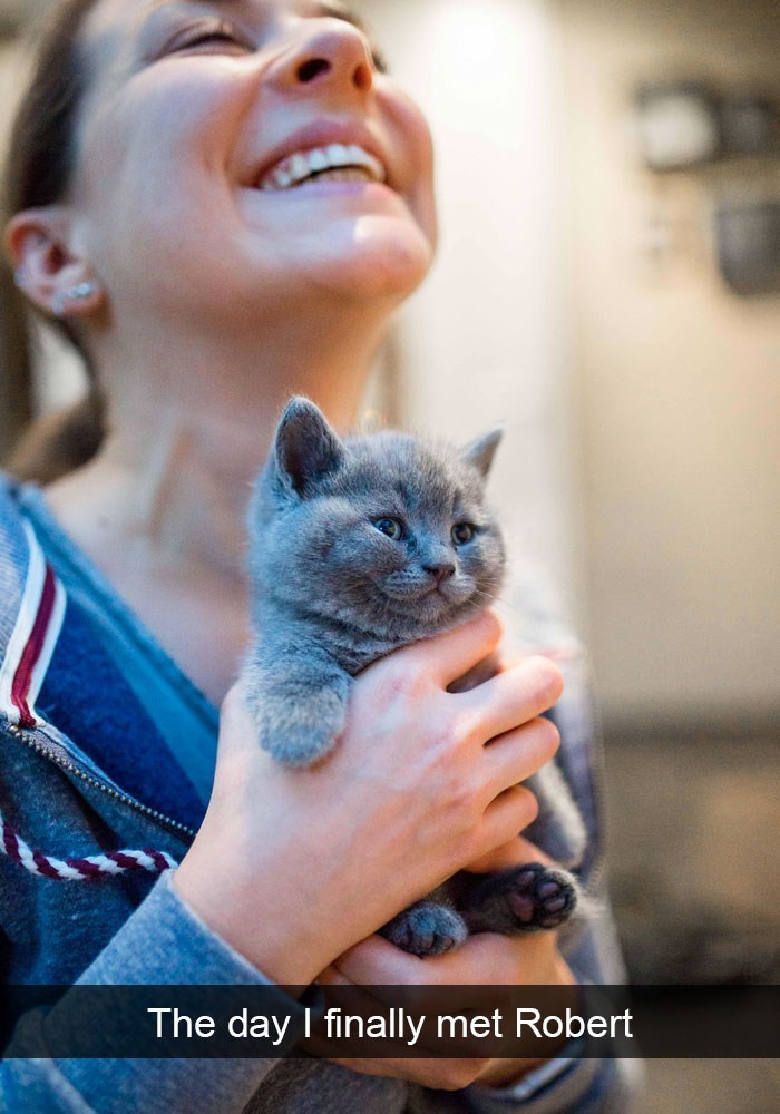 Finally - Cats N' Kittens - Cat Pictures - Cute Kittens