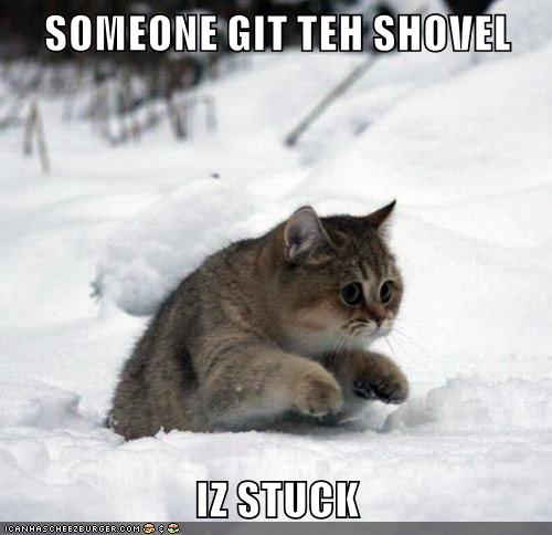 IZ STUCK - Lolcats - lol | cat memes | funny cats | funny cat pictures ...