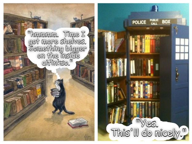 JeffCat's Library has an new feature! - Lolcats - lol | cat memes ...