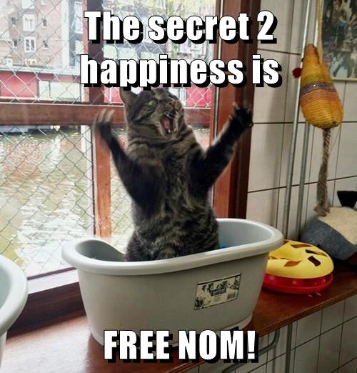 The secret 2 happiness - Lolcats - lol | cat memes | funny cats | funny ...