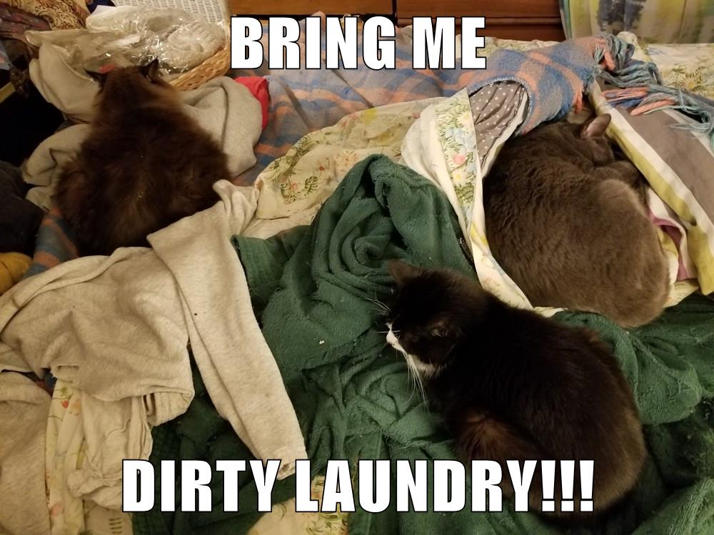 BRING ME DIRTY LAUNDRY!!! - Lolcats - lol | cat memes | funny cats ...