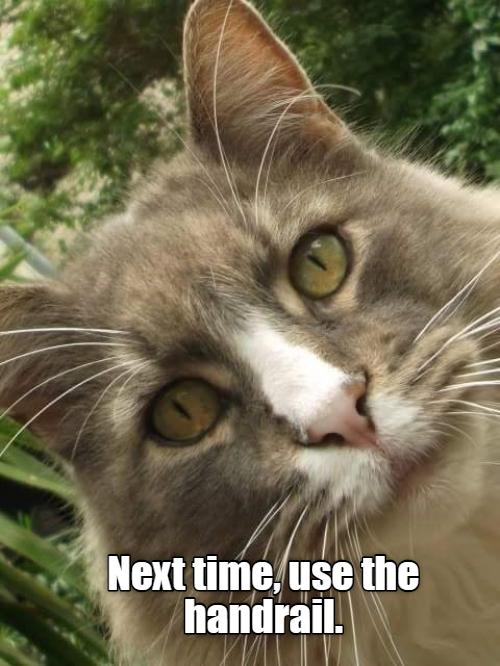 Lesson learned - Lolcats - lol | cat memes | funny cats | funny cat ...