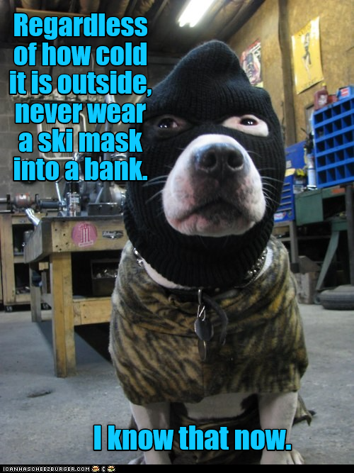 Trust me on this one. - I Has A Hotdog - Dog Pictures - Funny pictures ...