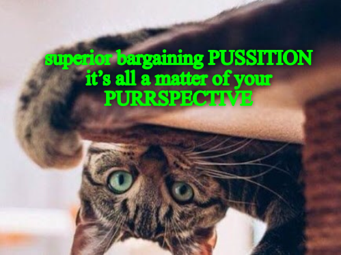 Superior Bargaining Position - Lolcats - lol | cat memes | funny cats ...