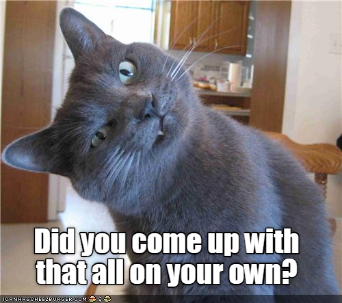 You sure? - Lolcats - lol | cat memes | funny cats | funny cat pictures ...