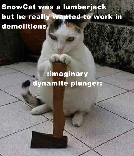 SnowCat - Lolcats - lol | cat memes | funny cats | funny cat pictures ...