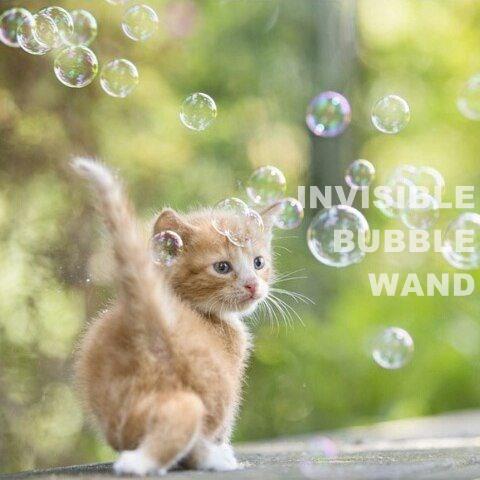 INVISIBLE BUBBLE WAND - Lolcats - lol | cat memes | funny cats | funny ...