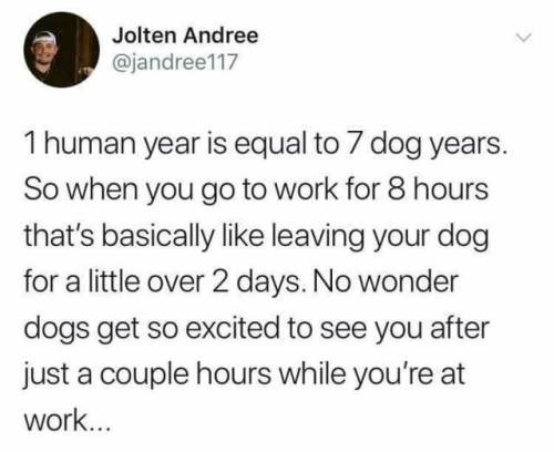 Pure Logic - I Can Has Cheezburger?